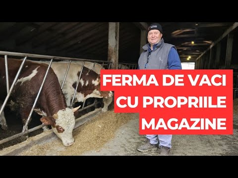 Ferma de vaci care își vinde produsele în propriile magazine