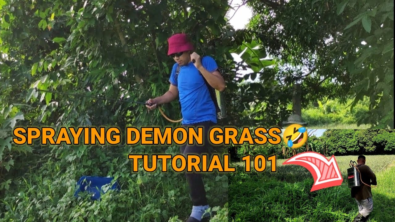 SPRAYING DEMONYONG DAMO 😂👍 TUTORIAL 101 BY L.A 😂 || BUHAY SA BUKID ...