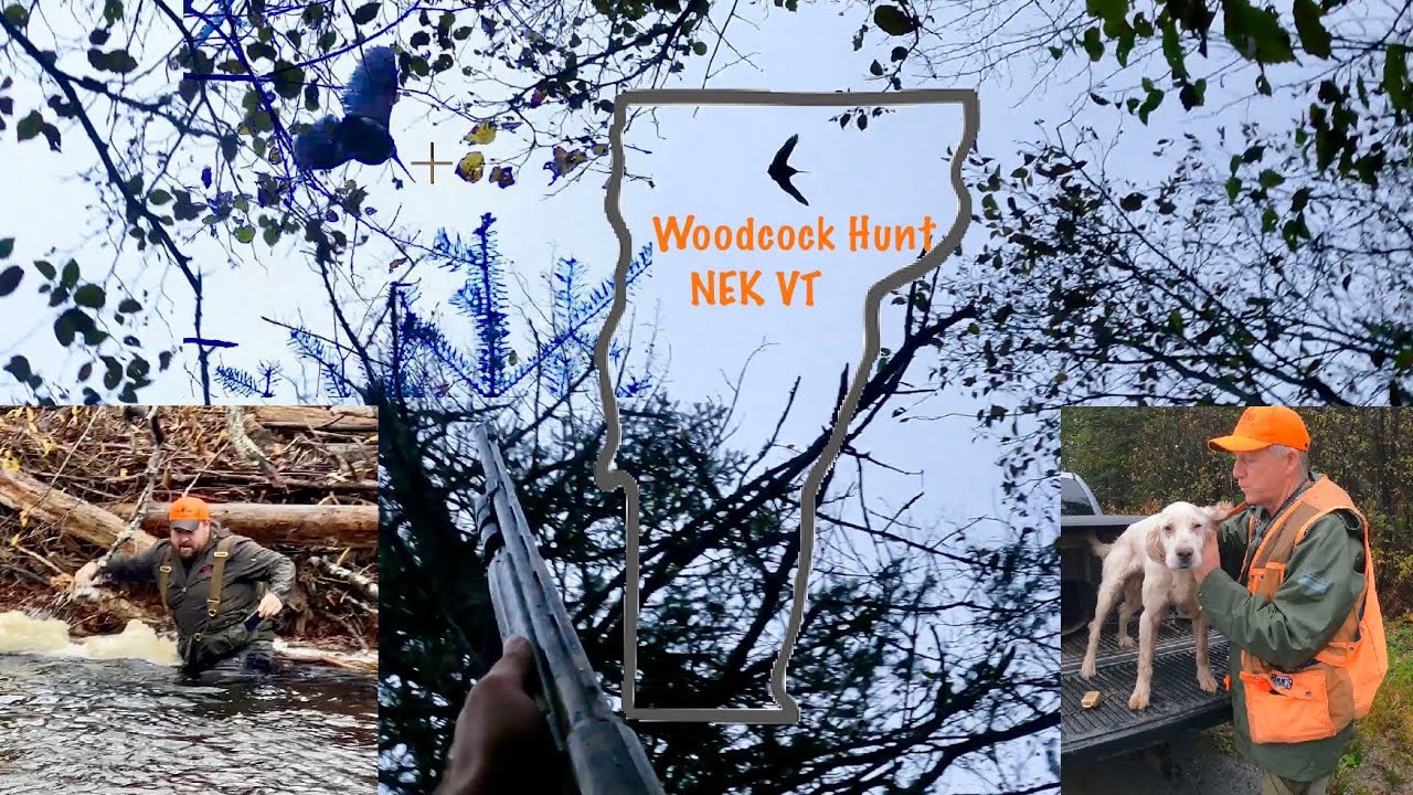 Hunting the Woodcock Migration in Vermont’s Northeast Kingdom ~ A Wet ...