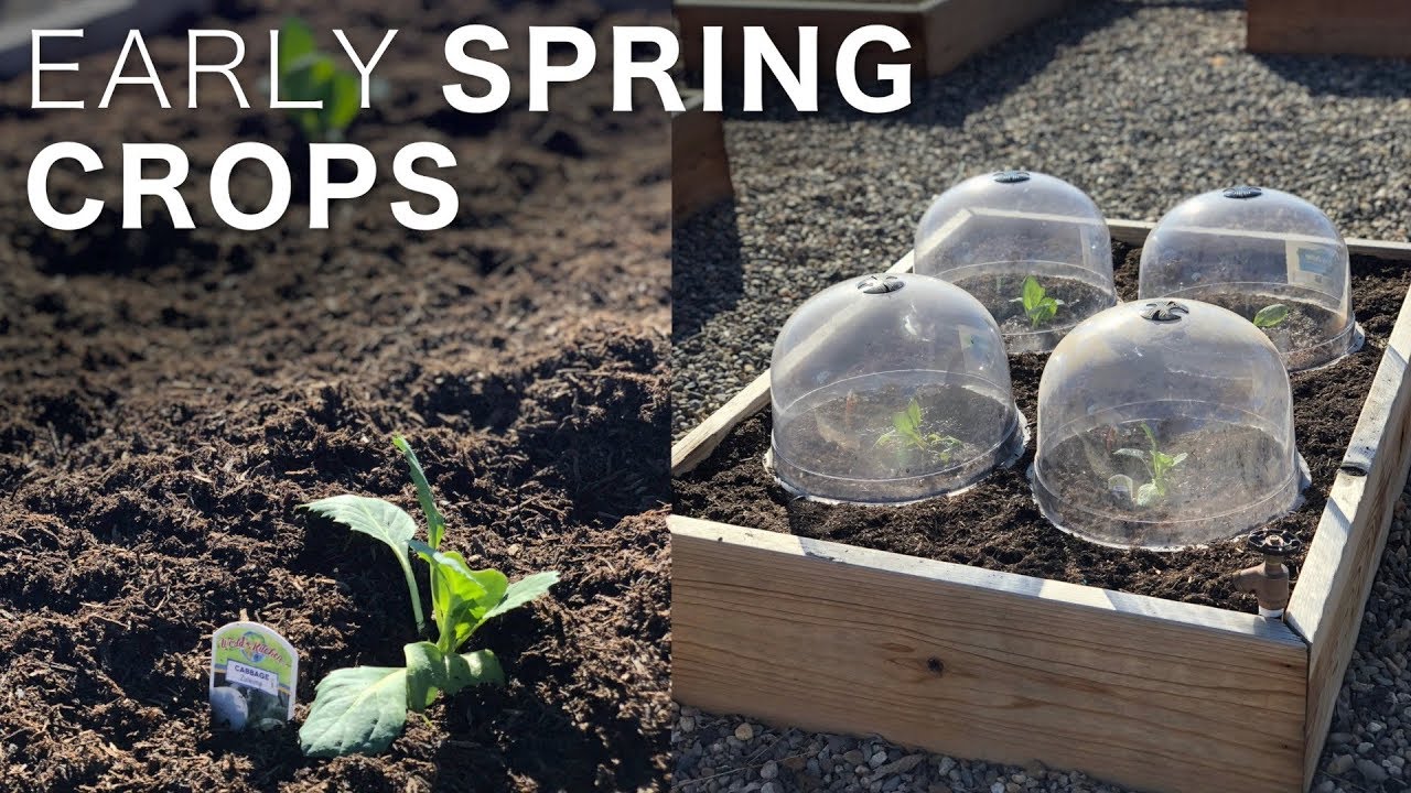Planting a Few Early Spring Crops!