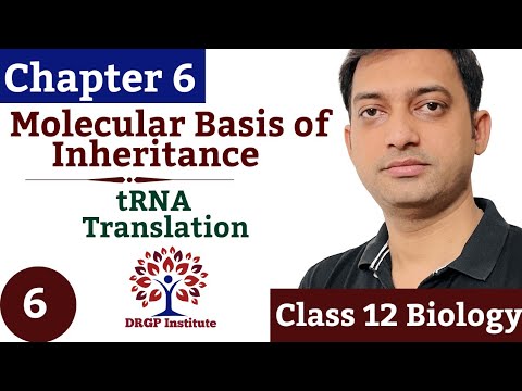 Chapter 6 | Molecular Basis of Inheritance - 06 | tRNA | Translation ...