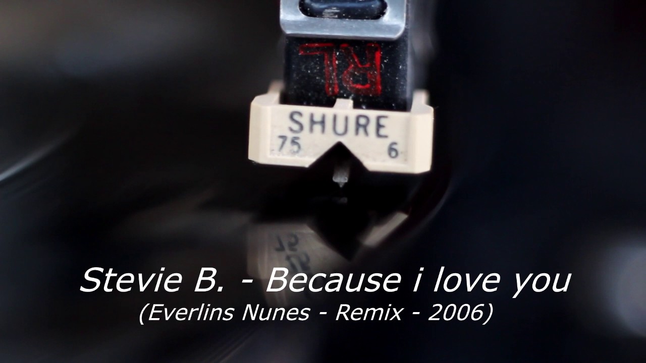 StevieB. - Because i love you - ReMix (Everlins Nunes) - YouTube