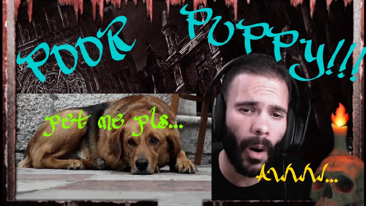 SAD DOG DIARY REACTION !!! - YouTube