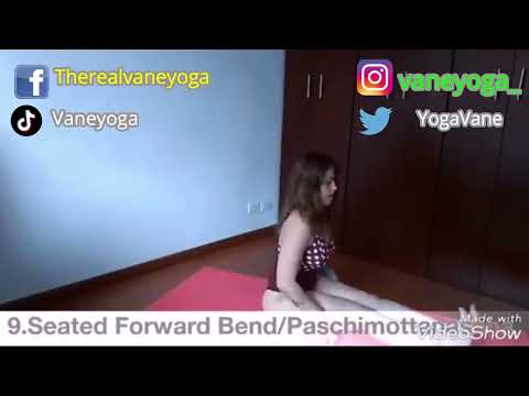 Vaneyoga Tutorials 10 super easy stretches for beginners #013