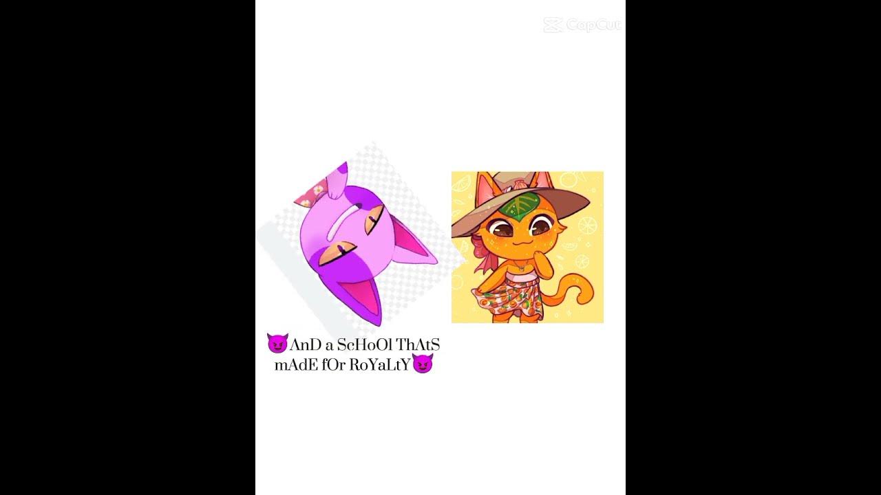 Bob had too much cat nip... - YouTube