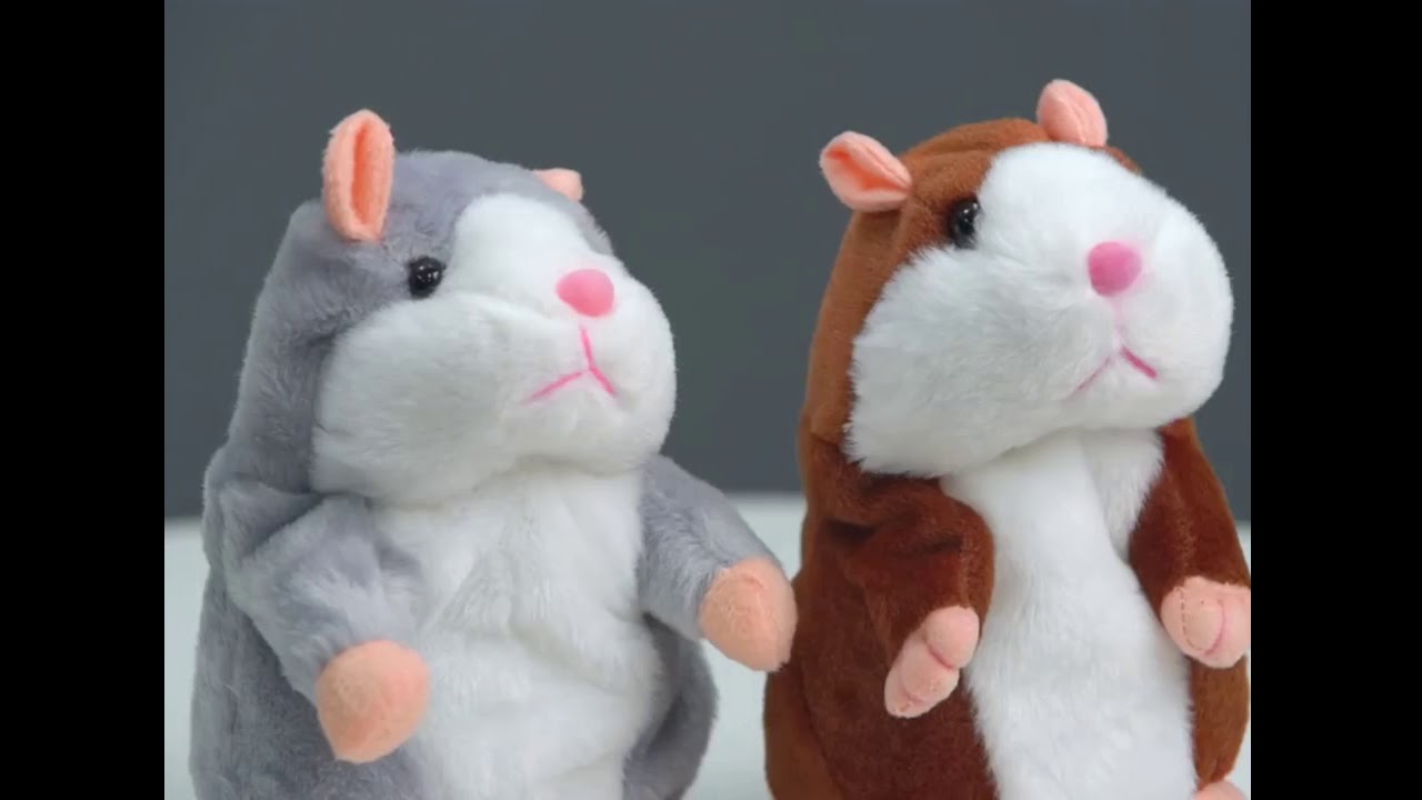 The Talking Hamster! - YouTube