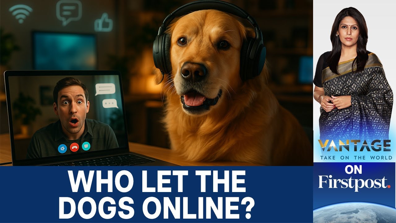 The Animal Internet: How Tech Is Connecting Pets With Videocalls, Media ...