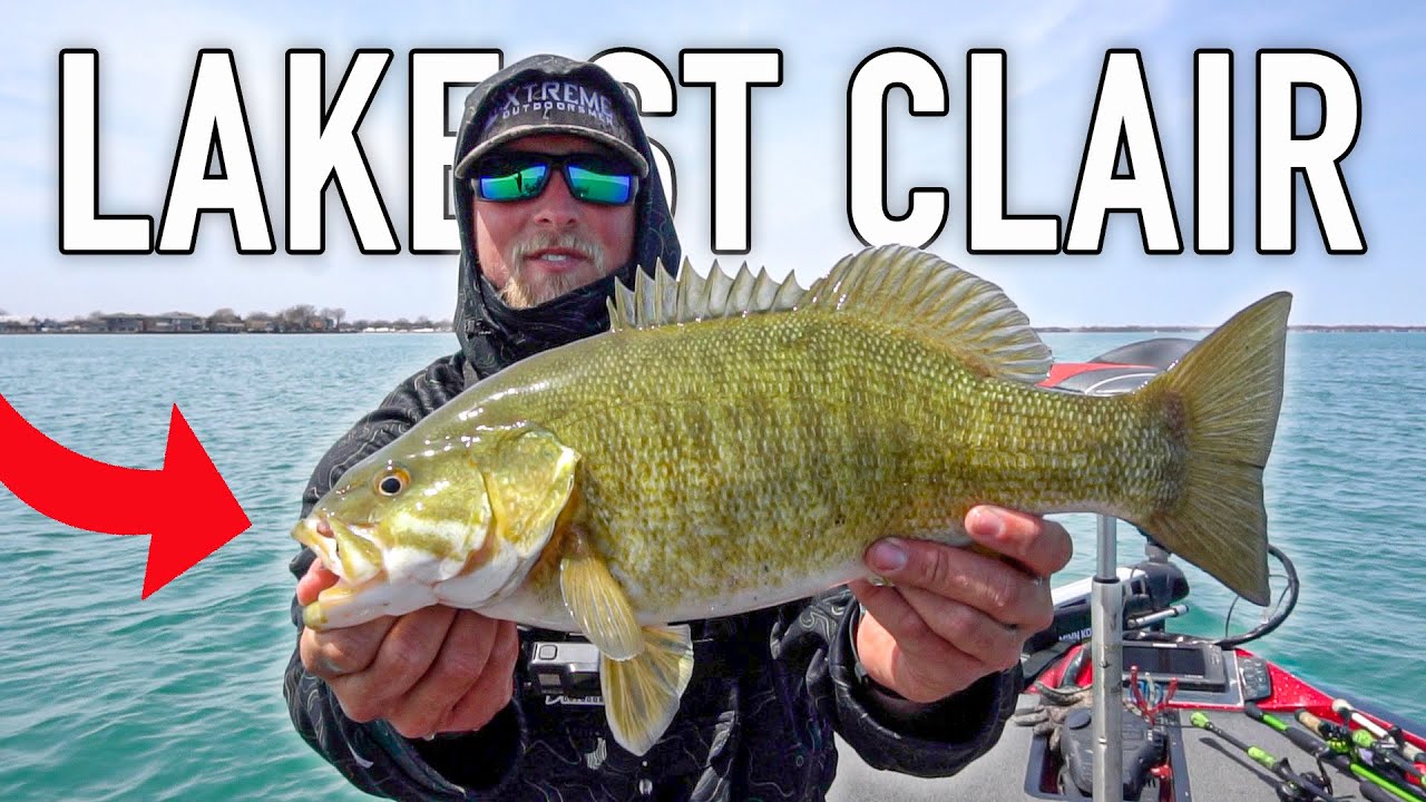 SWIMBAIT Fishing Lake St Clair Smallmouth Bass - FISHING REPORT 2022 ...