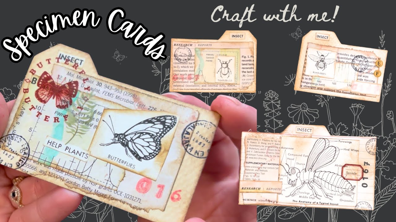 Craft with Me: Let's make Specimen Cards with old book images! - YouTube