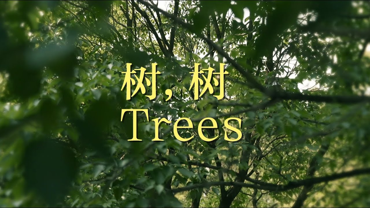 SHANGHAI | « Trees », jusqu’au 10 octobre 2021 - YouTube