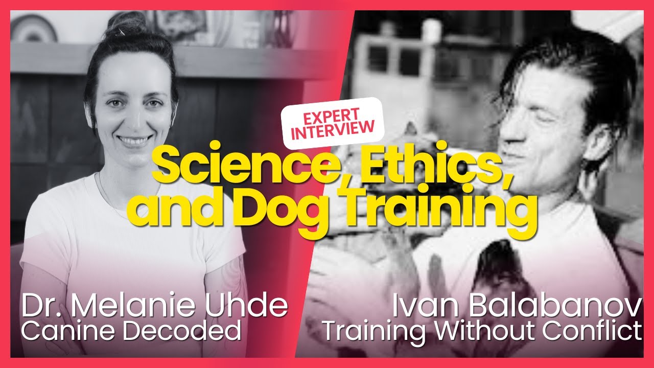 UNTOLD - Science, Ethics, and Dog Training with Ivan Balabanov - YouTube