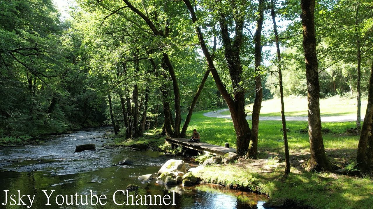 Jsky / Into the forest - YouTube