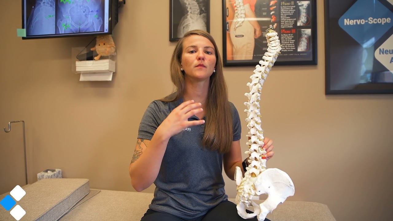 Motion Palpation Of The Lower Back!⁠ - YouTube