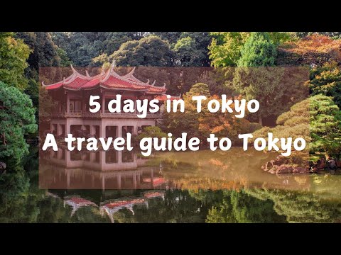 Spend 5 days in Tokyo - A travel guide to Tokyo | Vacation | Holiday ...