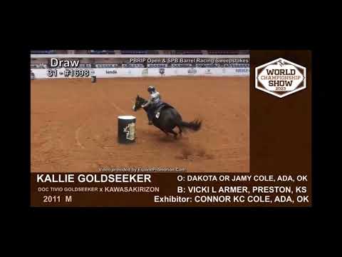 Conner and Gypsy at APHA Sweepstakes 2023 - YouTube