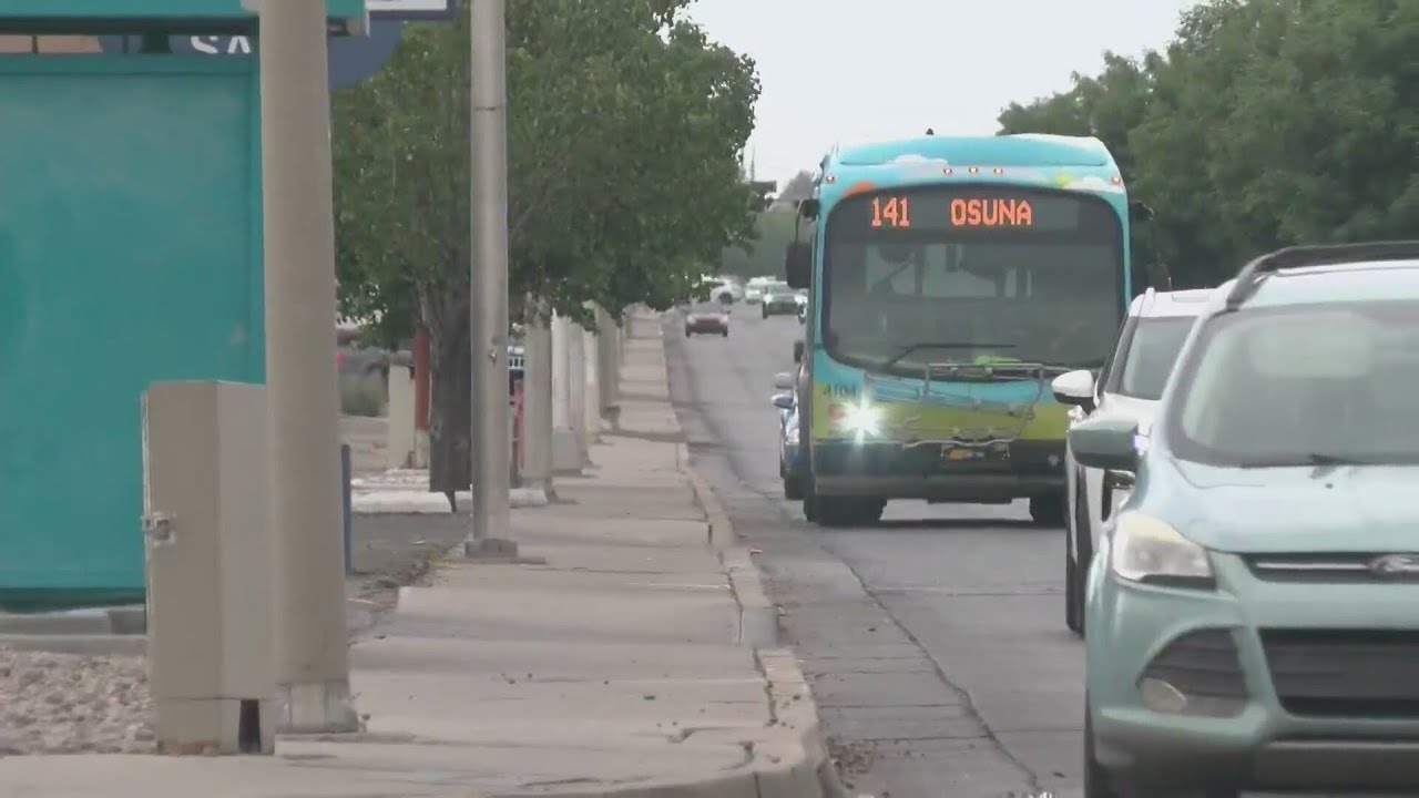 Carousel incident, bus crash, whistleblower: A look at City of ...