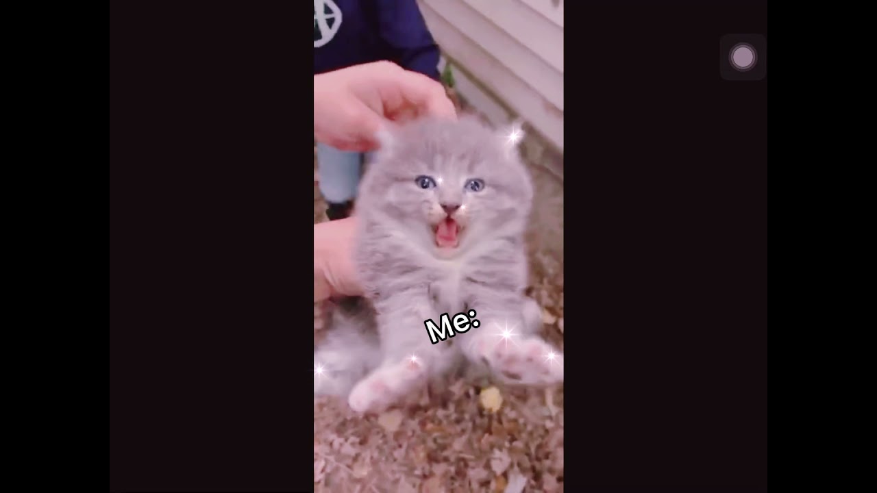 Oh he’s not happy- - YouTube