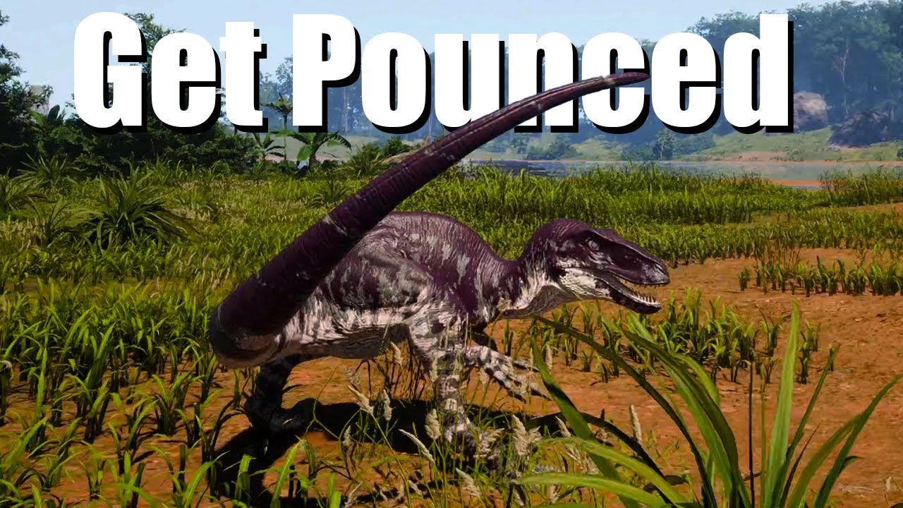 Mostly raptor shenanigans, but a bit of cera at the end - YouTube