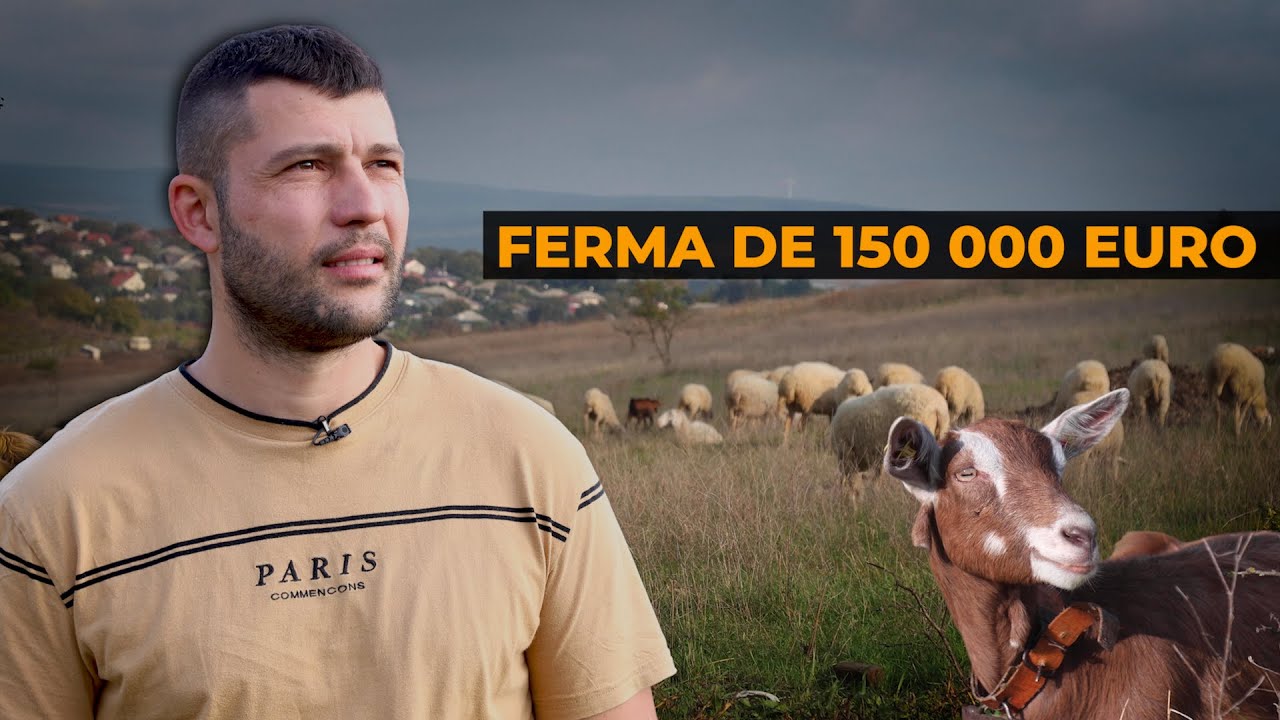 De la instalații electrice în Germania, la creșterea oilor în Moldova. Istoria lui Vasile ...