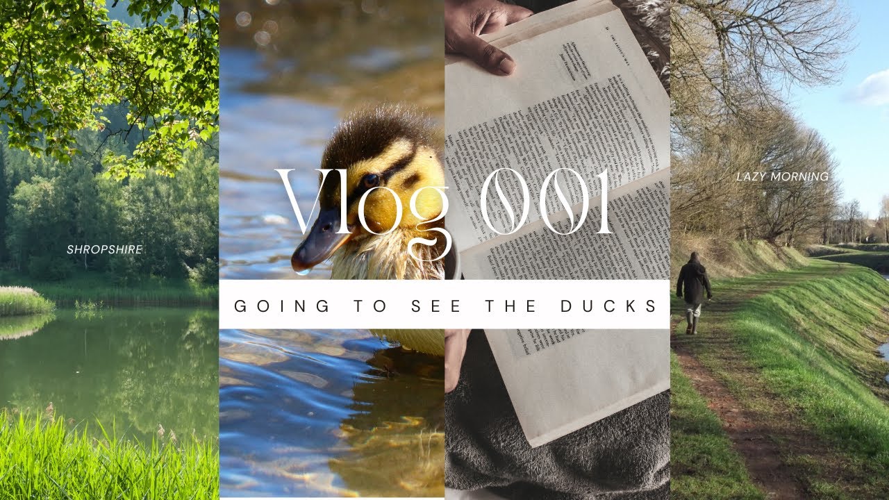 Going To See The Ducks #001 - YouTube