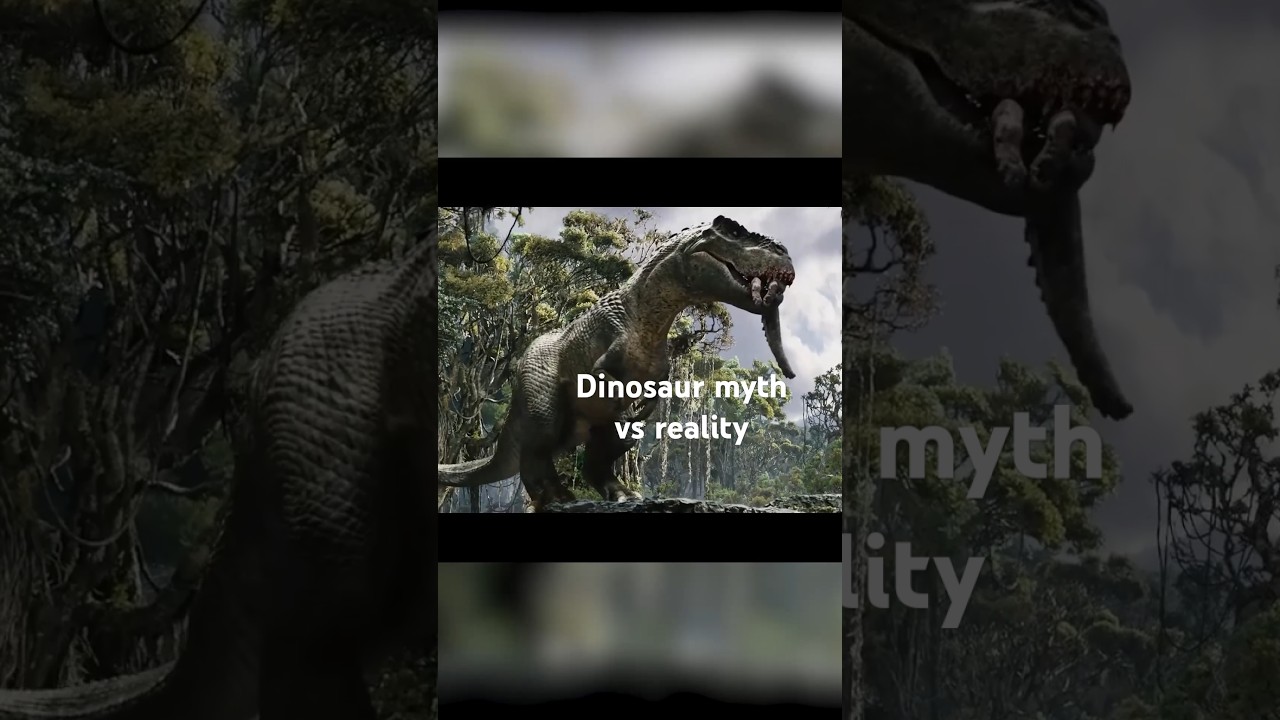 Dinosaur myth vs reality | Did Dinosaurs Really Have Feathers? The ...