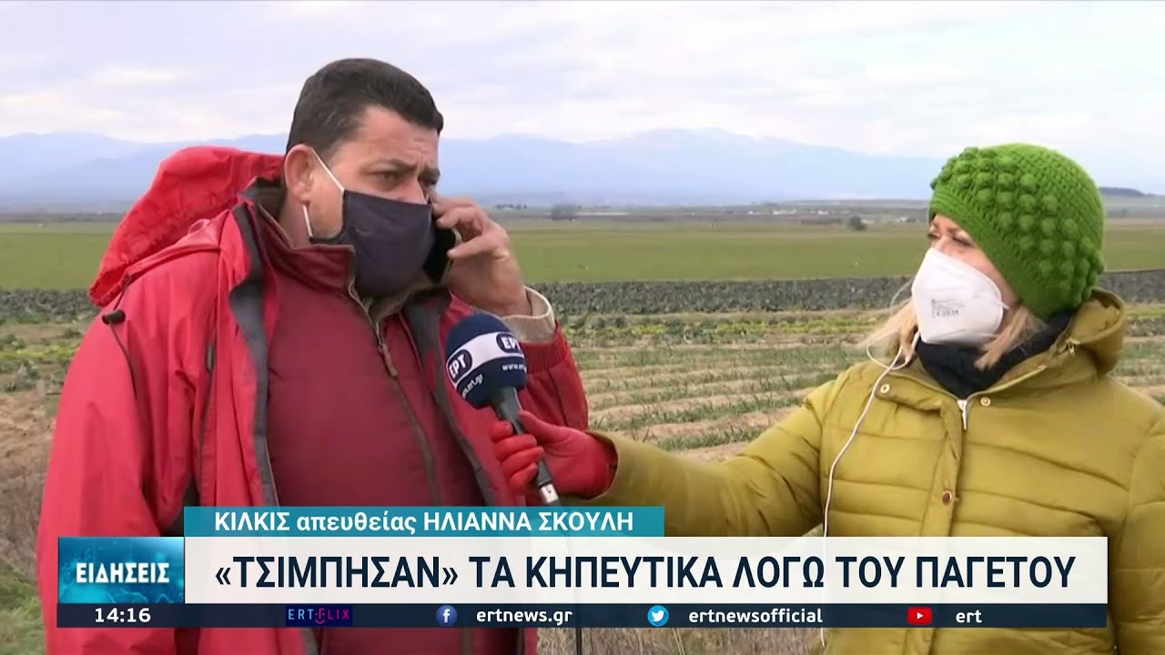 Πάγωσαν οι καλλιέργειες στο Κιλκίς | 27/01/2022 | ΕΡΤ - YouTube