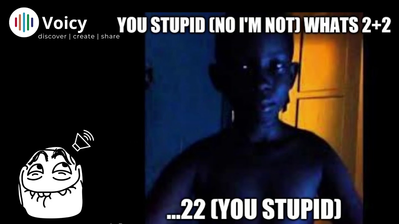You Stupid What s 9 10 Vine Sound Effect Meme Original HD