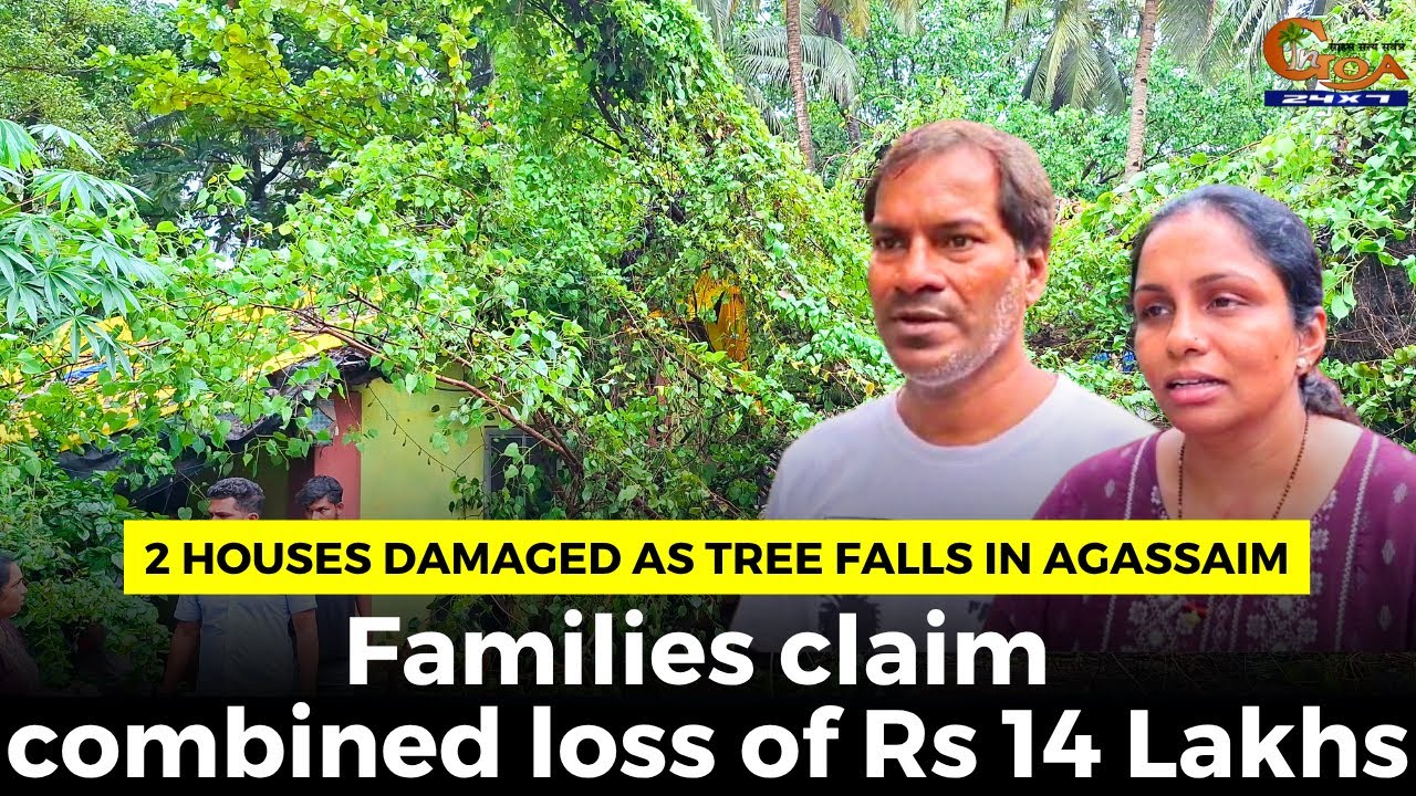 2 houses damaged as tree falls in Agassaim. Families claim combined ...