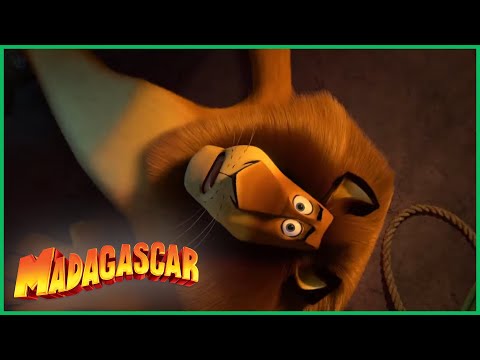 DreamWorks Madagascar em Português |  O Melhor de Alex Parte 3 | Os Pinguins de Madagascar