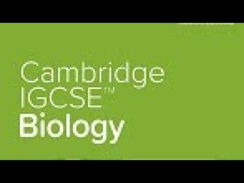 IGCSE Biology revision - DNA and RNA - YouTube