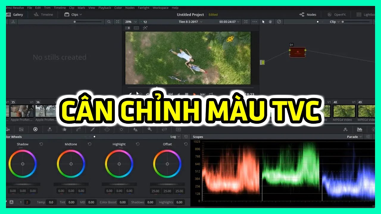 #16 - Giới Thiệu Và Cân Chỉnh Màu Trong TVC | Color Grading DaVinci ...
