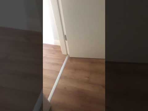 Günaydın diyen kedi. Real talking cat. Konuşan kedi.