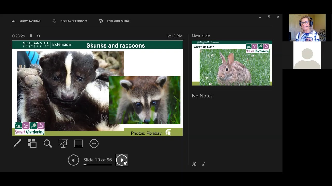 Smart Gardening to Deter Deer - A Webinar With Sarah Rautio - YouTube