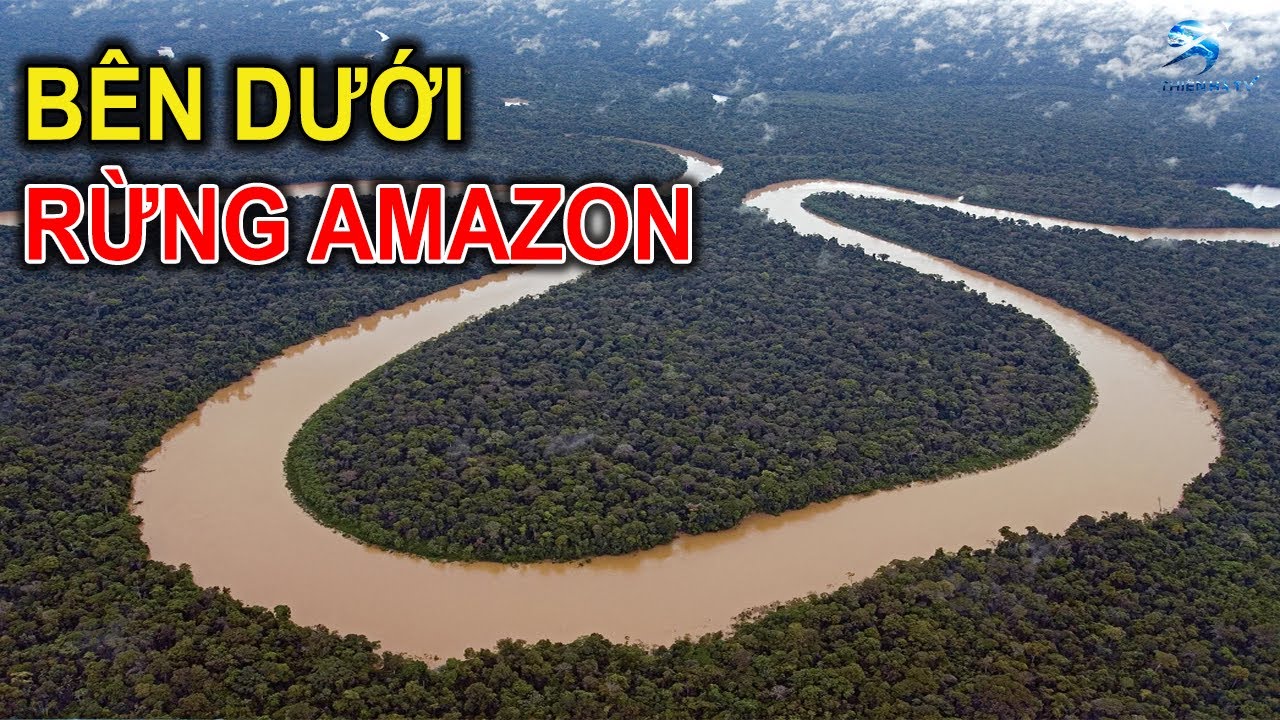 Những Bí Ẩn Rùng Rợn Bên Dưới Rừng Amazon | Thiên Hà TV - YouTube