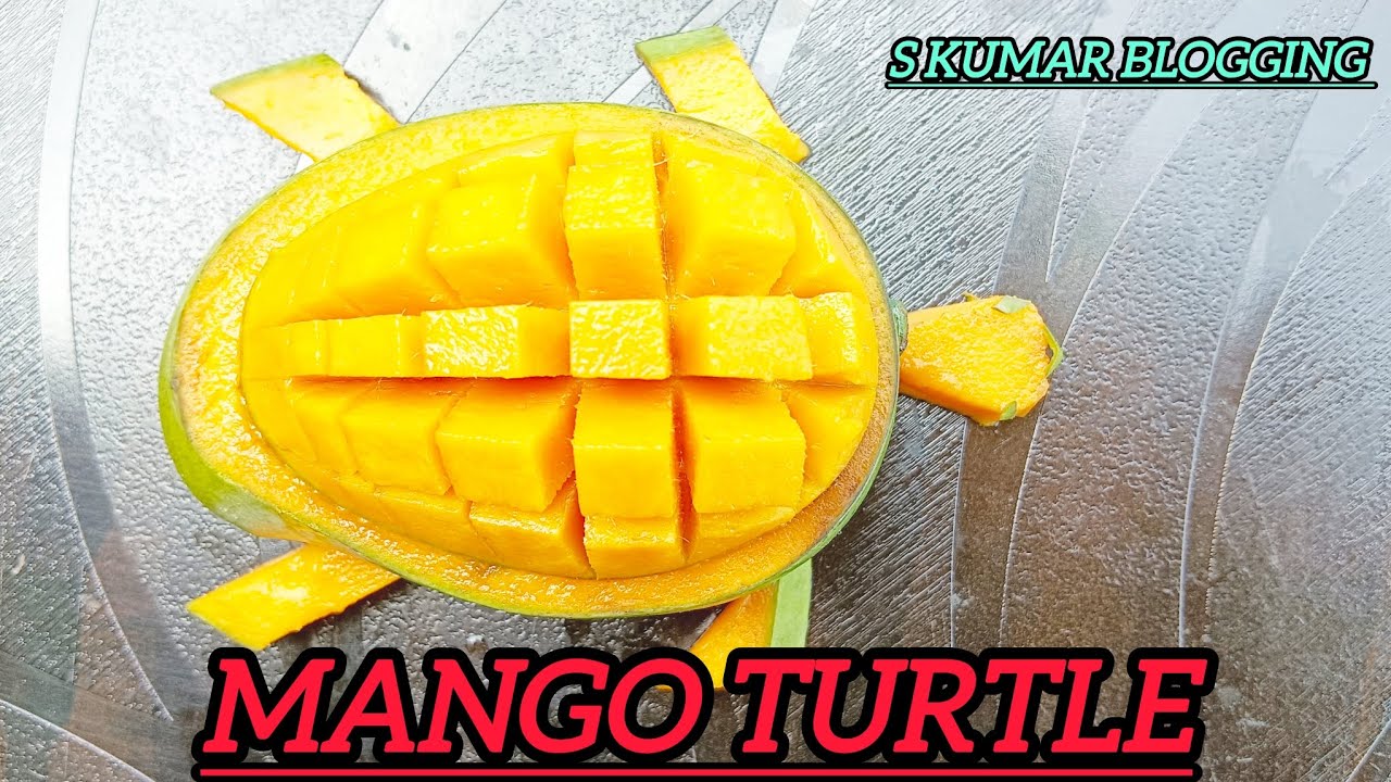 How to Cut a Mango Into Turtle Shape #shorts - YouTube