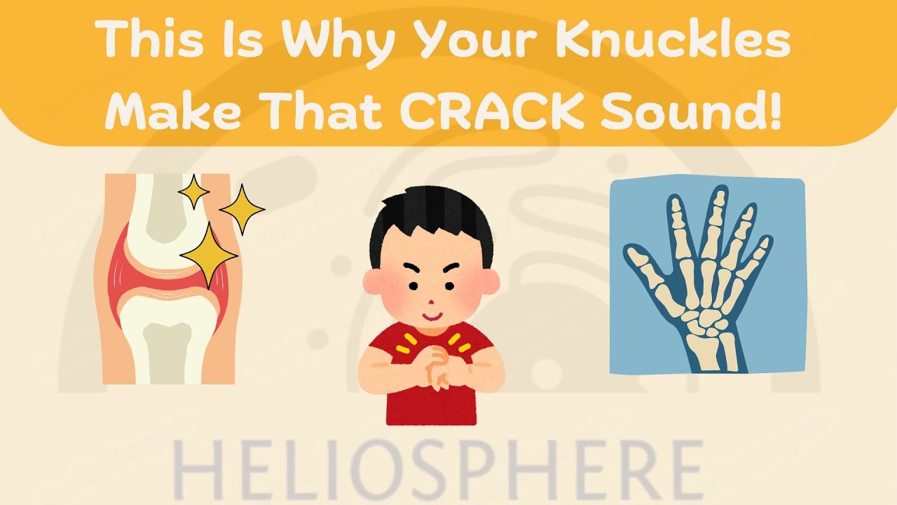 This Is Why Your Knuckles Make That CRACK Sound! | Animation ...