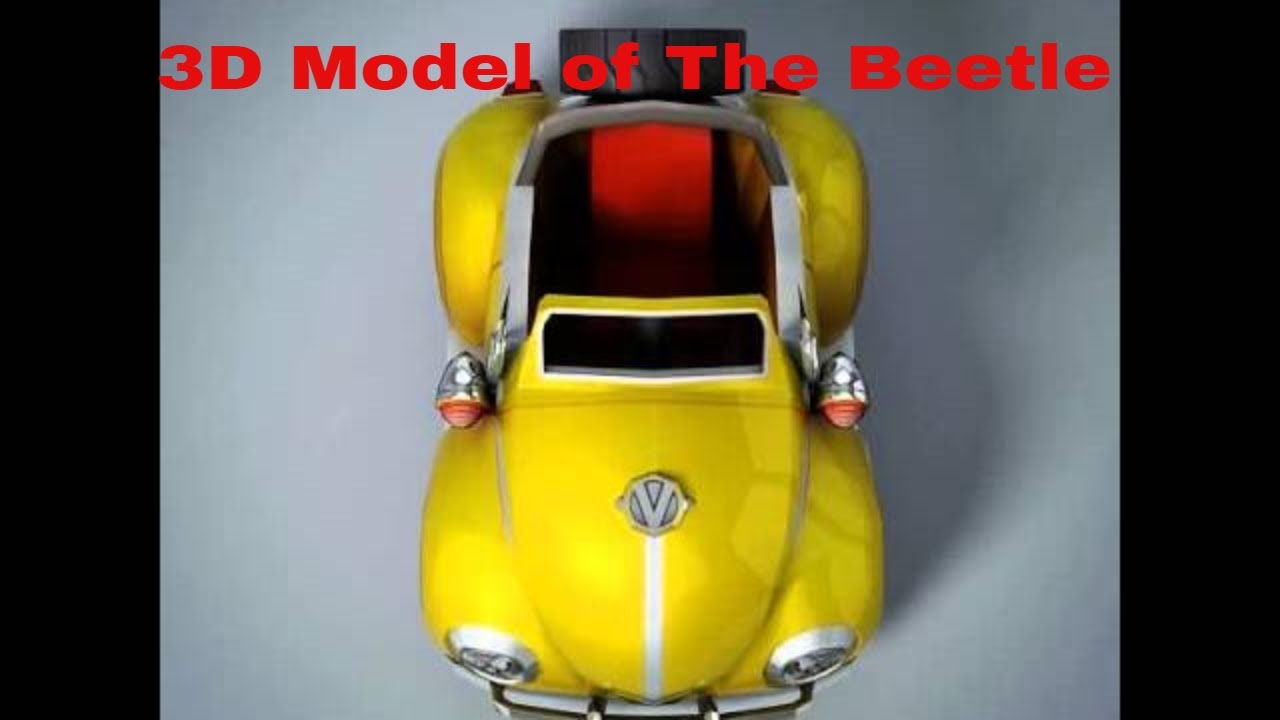 3D Model of The Beetle Review - YouTube