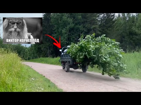 Victor Korneplod aesthetic // Эстетика Виктора корнеплода vlog первый день - YouTube