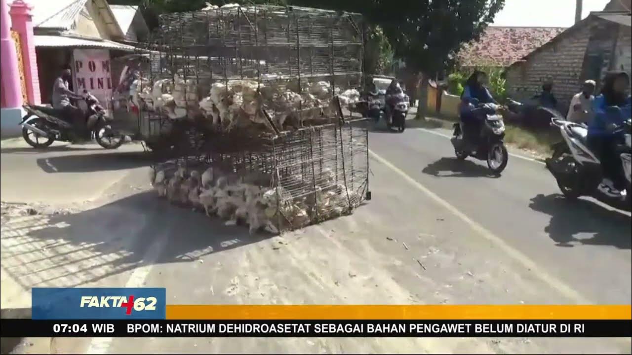 Truk Pengangkut Ayam Oleng Tabrak Minibus Di Bangkalan, Madura - Fakta +62 - YouTube