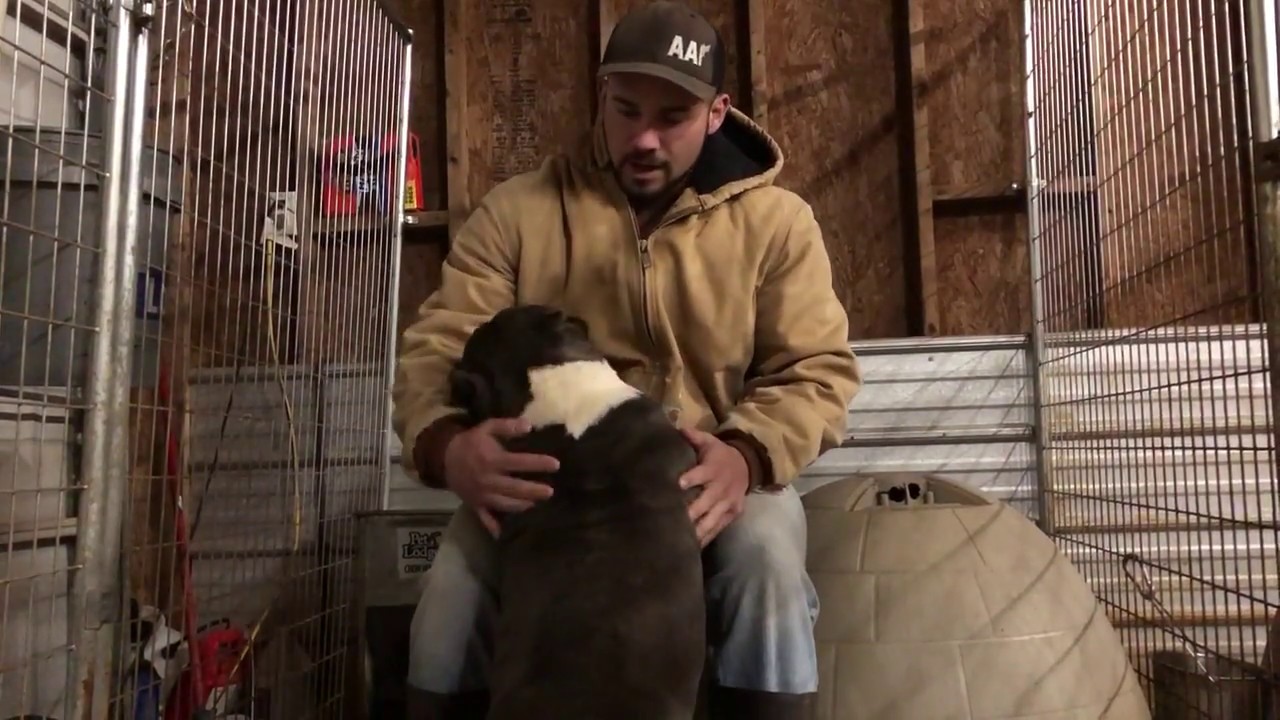 Cbf Bully Vlog 1 Youtube