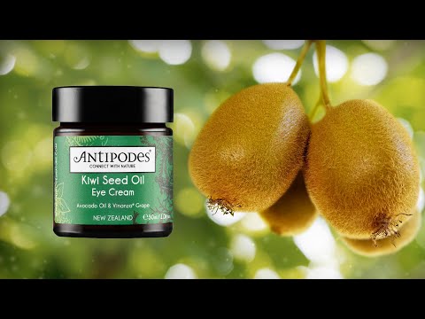 Kiwi Seed Oil Eye Cream How-To
