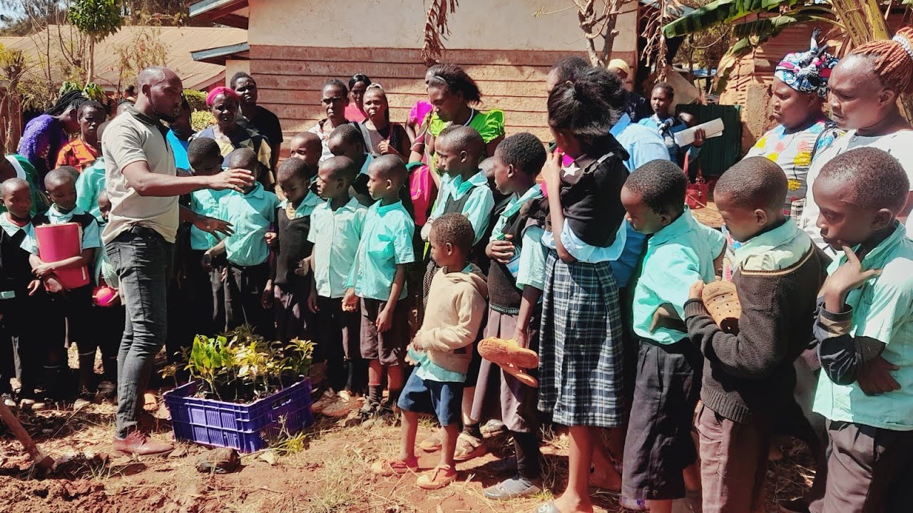 Donating Fruit trees to Schools in Meru. - YouTube