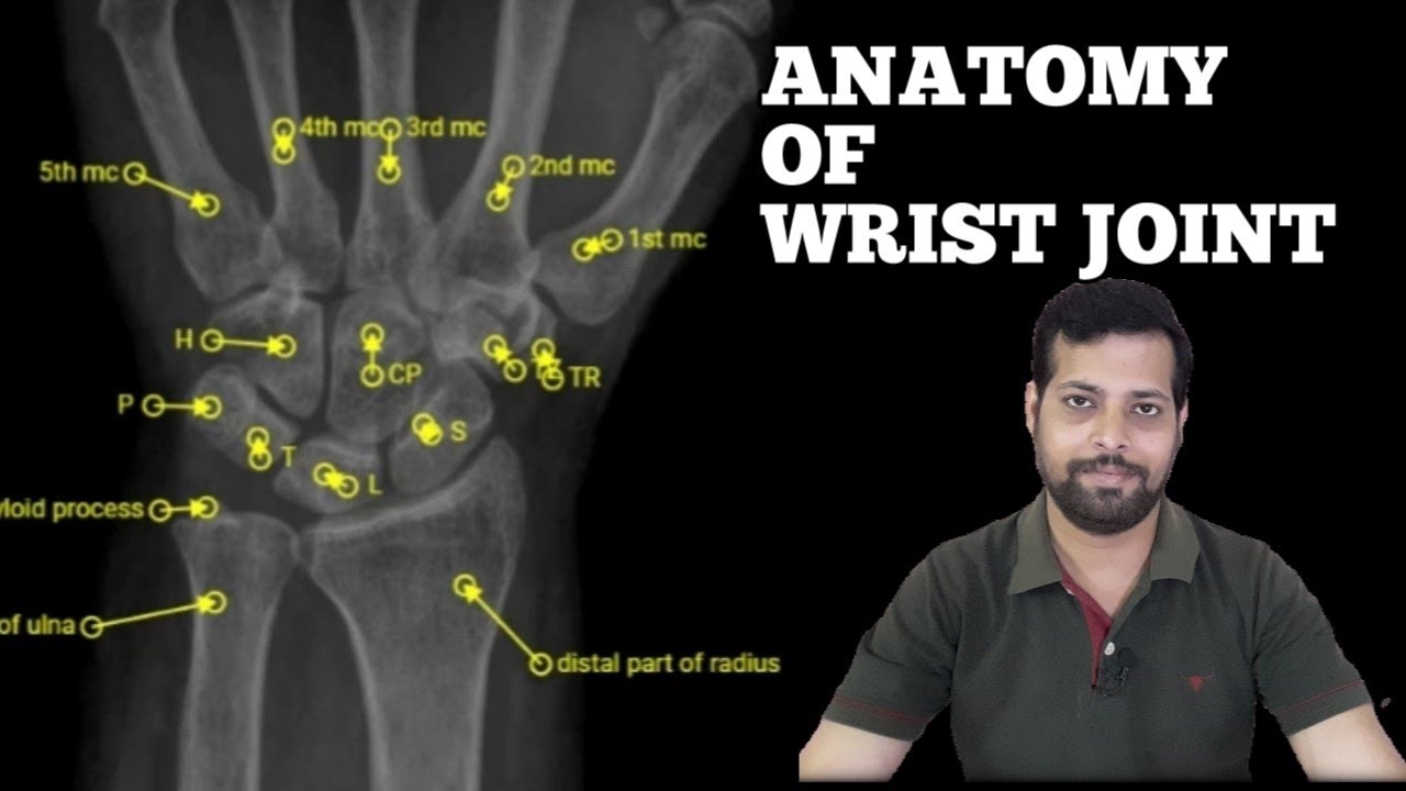 CLINICAL ANATOMY OF WRIST JOINT || WRIST JOINT | #xrayclasses - YouTube