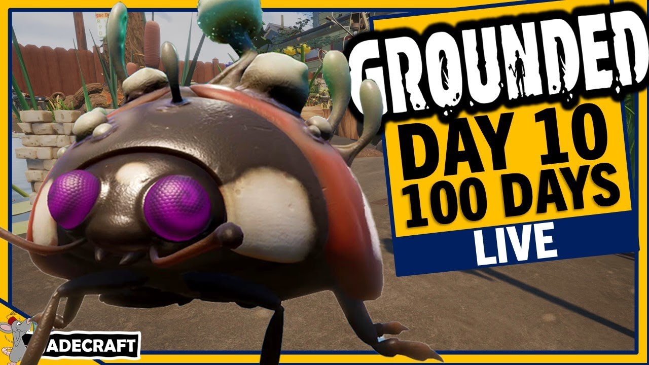 GROUNDED DAY 10 Of 100 Days - LIVE - Base Location And Preperation ...