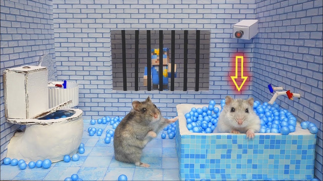 Hamster Escape: Prison Maze 🛑Live Stream - YouTube