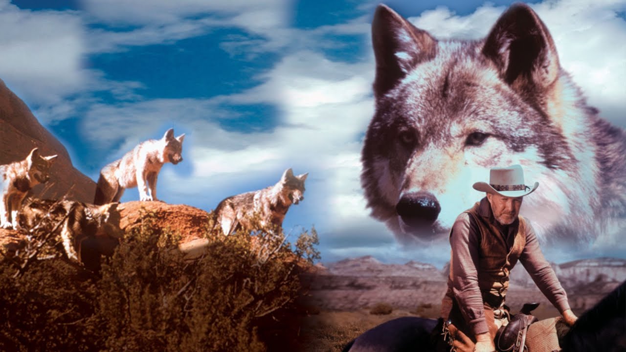 Ο ΘΡΥΛΟΣ ΤΟΥ ΛΟΜΠΟ (1962) THE LEGEND OF LOBO Adventure Family - YouTube