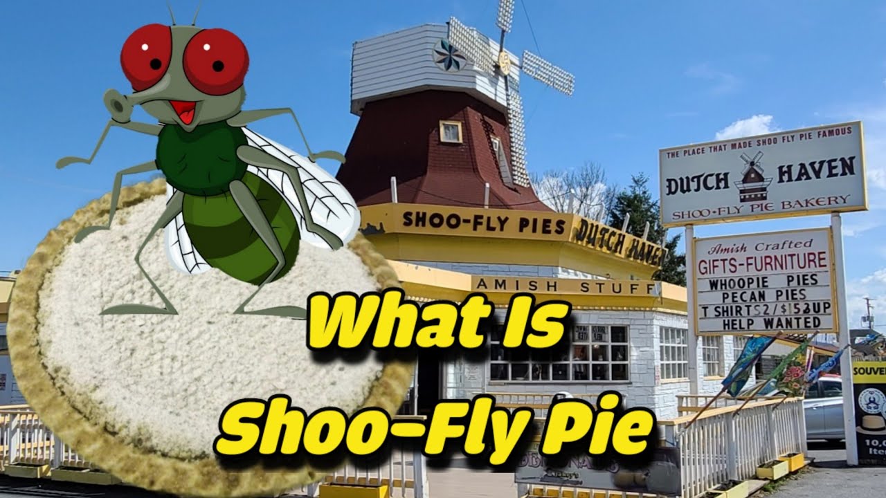 Dutch Haven Shoo-Fly Pie Ronks Pa Lancaster County (Amish Country ...
