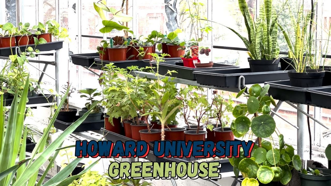 A Blooming Community: The Howard University Greenhouse | April 16, 2025 ...