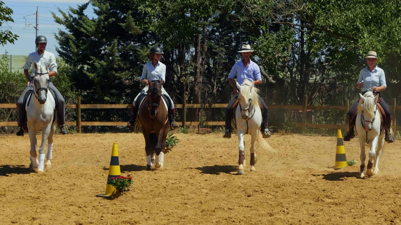 WORKING EQUITATION ACADEMY (2/2) - YouTube