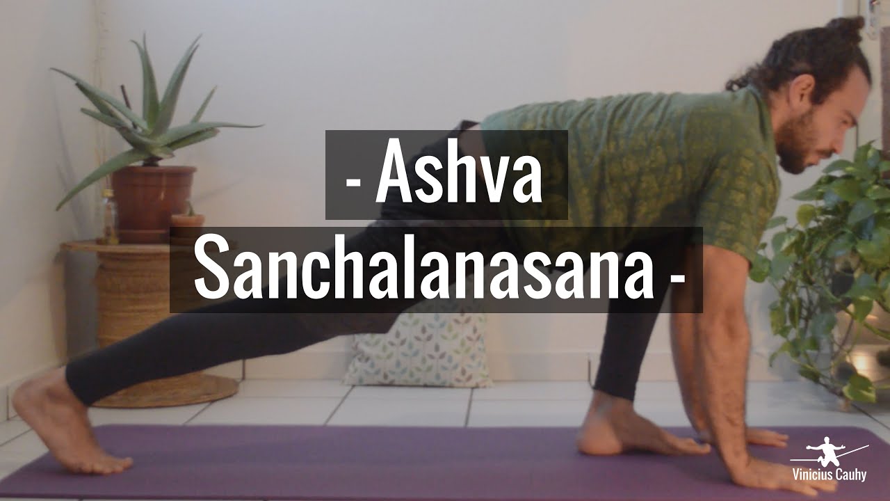 Ashva Sanchalanasana - Transições entre Asanas - YouTube